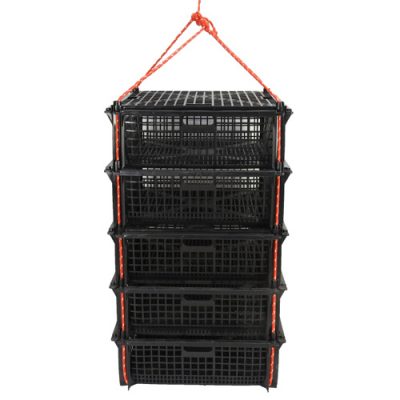 SUPERTRAY-Shellfish Container - Thunderbird Plastics