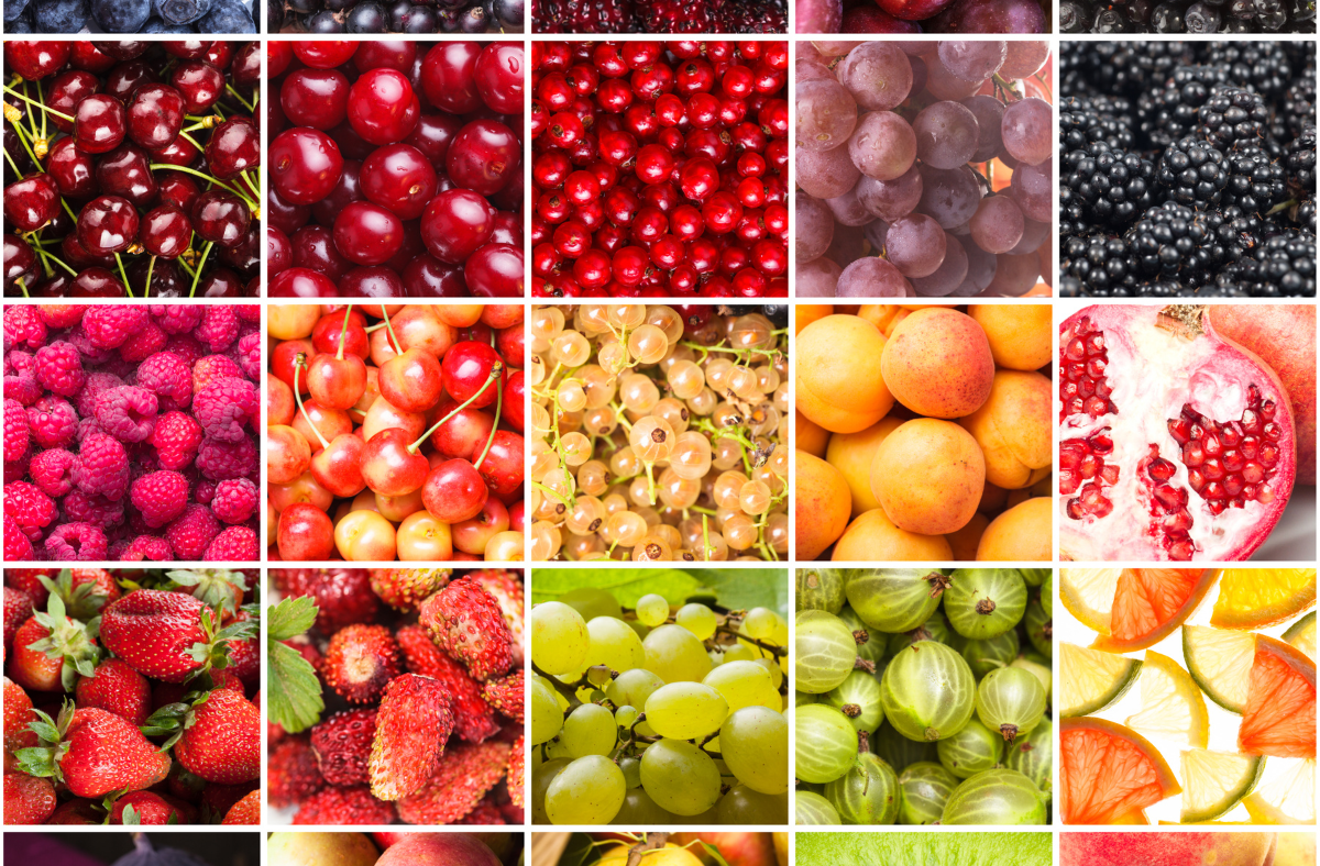 The Science of Berries: Cultivation, Harvest, and Storage - Thunderbird ...