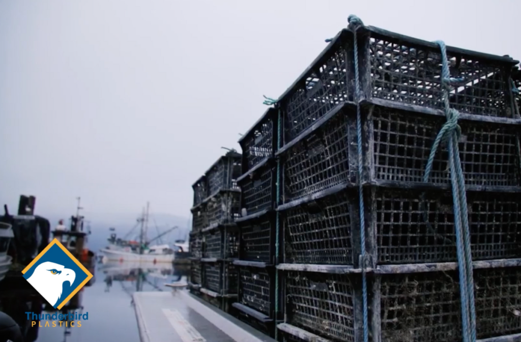 Shellfish Aquaculture and The “Supertray” Shellfish Grow-Out System ...