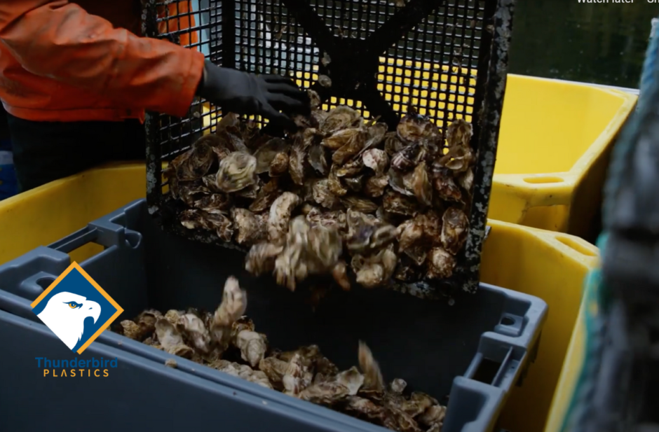 Shellfish Aquaculture and The “Supertray” Shellfish Grow-Out System ...